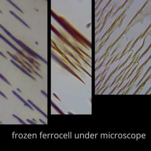 30 things you can see with a 2500x microscope | 3DRIFIC