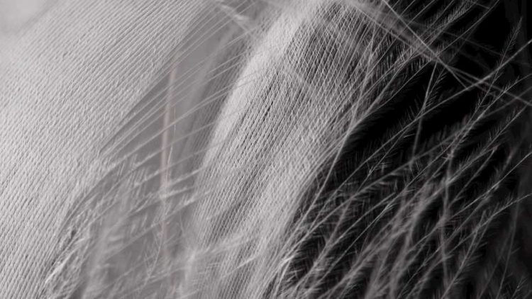 30 things you can see with a 2500x microscope | 3DRIFIC