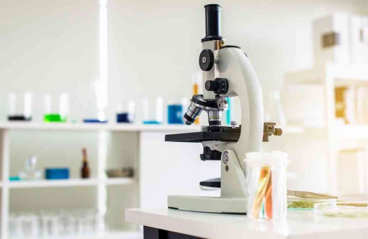7 Best microscopes for microbiology – Detailed guide | 3DRIFIC